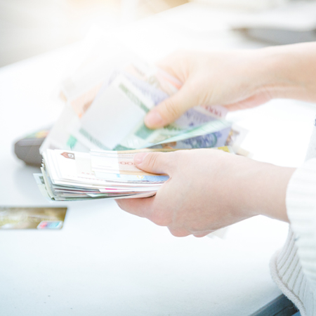 Foreign Exchange, Remittances, Money Transfer, Bill Payment, WPS | Al ...